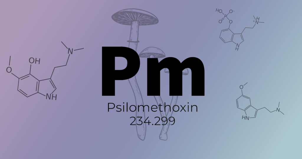 Meet The Founders – Church of Psilomethoxin at Cannadelic – Ian Benouis